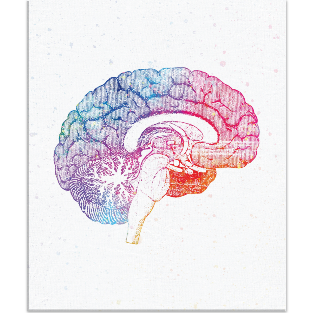 Brain’s Lateral View Abstract Anatomy Art - MedArts | Medical Art Store