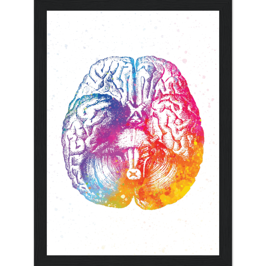 Brain’s Basal View Anatomy Abstract Art - MedArts | Medical Art Store