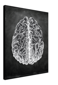 Chalkboard Brain Anatomy Art - MedArts | Medical Art Store